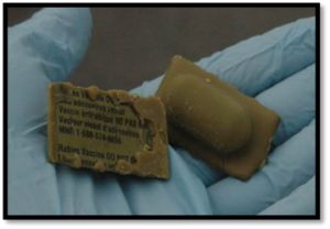 Sample ORV Bait | Lake County General Health Department