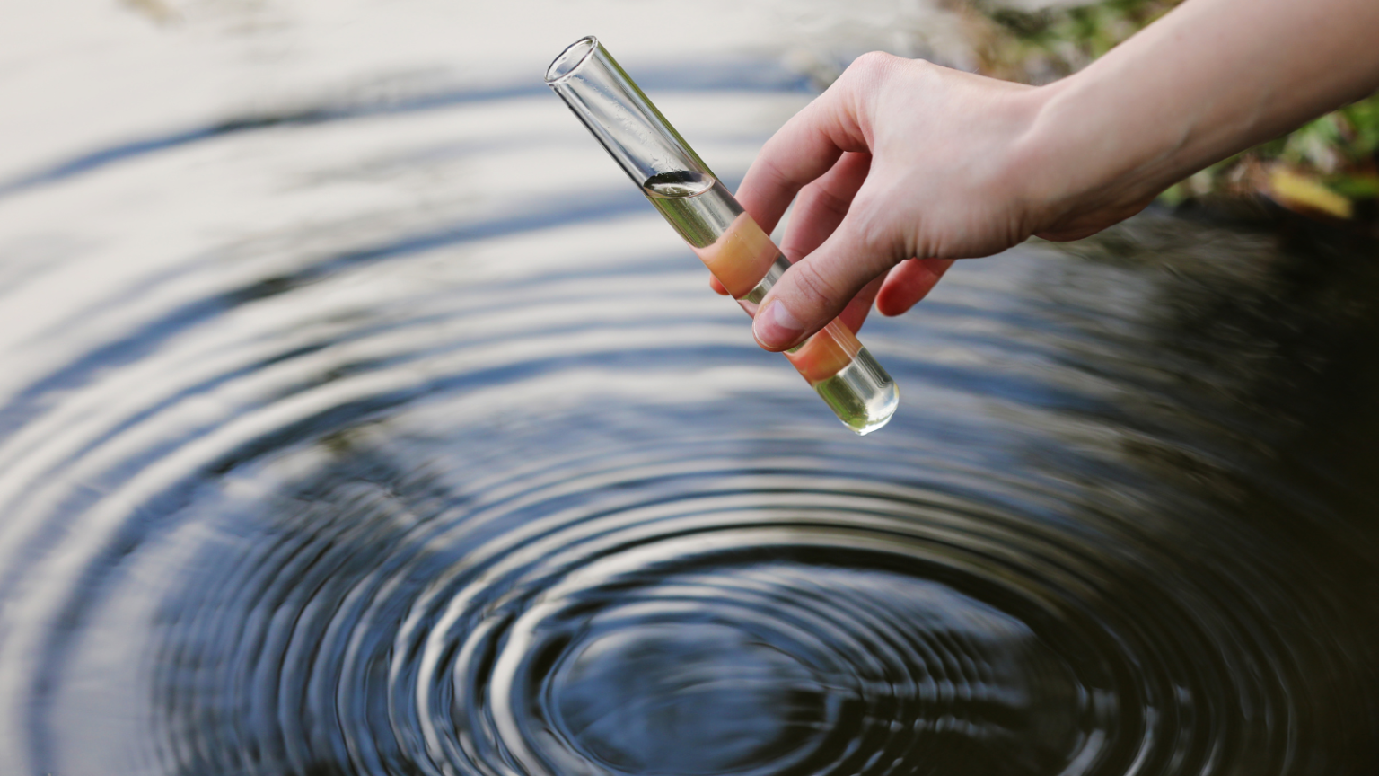 LCGHD Begins Monitoring Beach Water Quality at the Two Lake County ...